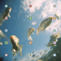 Aladdin | The Aquatic Genie 12" | Bordello A Parigi